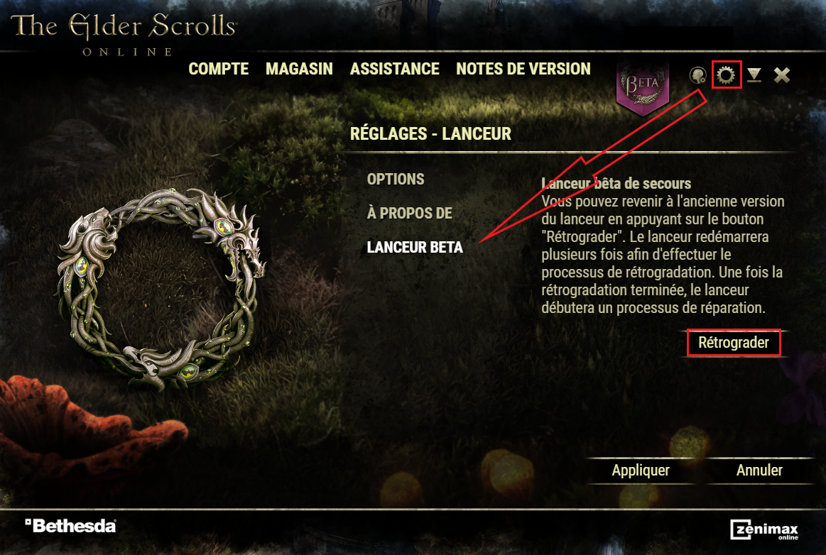 Comment retourner sur les serveurs live après avoir participé au test ...