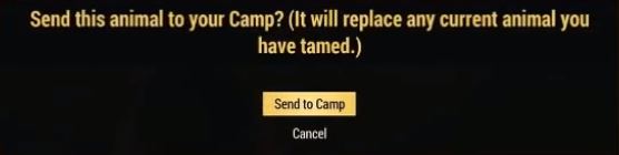 Animal Friend - Perk Card - Fallout 76 - Bethesda Support