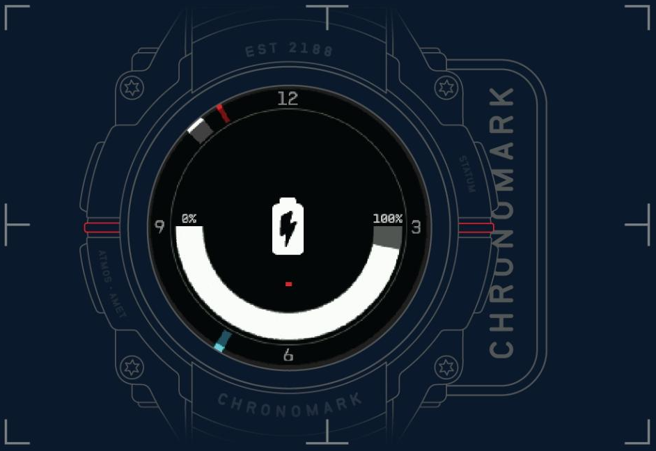 Using the LPV6 Watch - Instruction Manual - Chronomark Watch - Bethesda ...