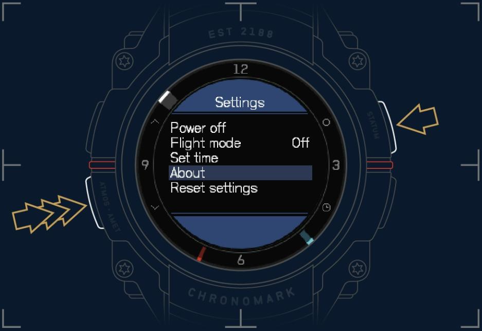Instruction Manual - Chronomark Watch - Bethesda Support